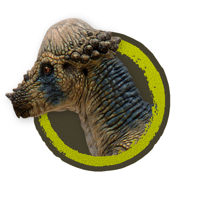 Pachycephalosaurus